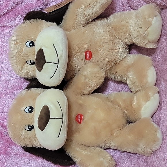 Petsmart | Dog | Petsmart Chance Collectible Plush Toy | Poshmark